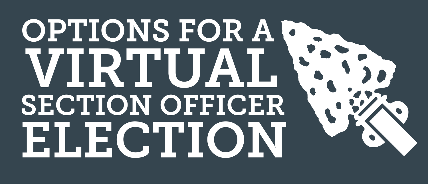 Options for a Virtual Section Officer Election | Order of the Arrow ...